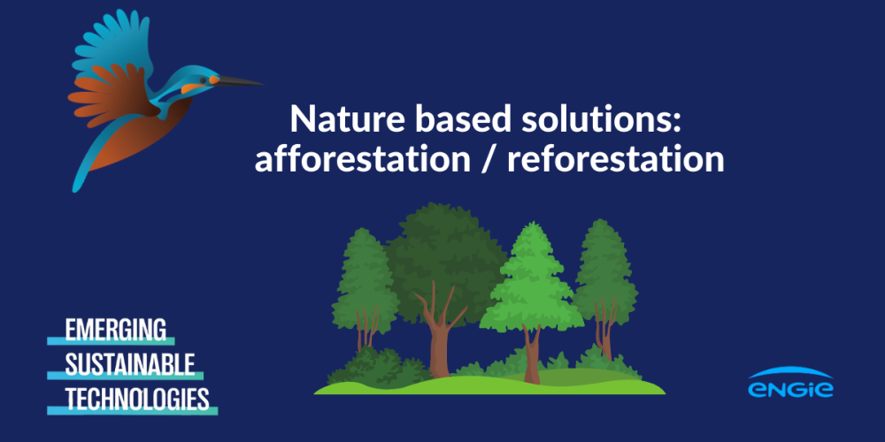 Nature based solutions : Afforestation & Reforestation | ENGIE Research & Innovation