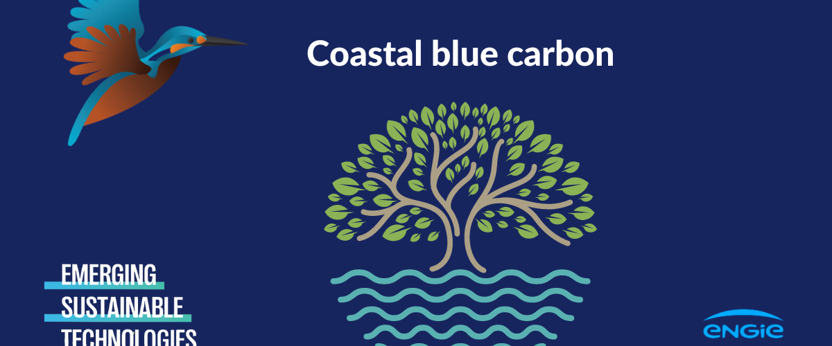 Coastal Blue Carbon | ENGIE Research & Innovation